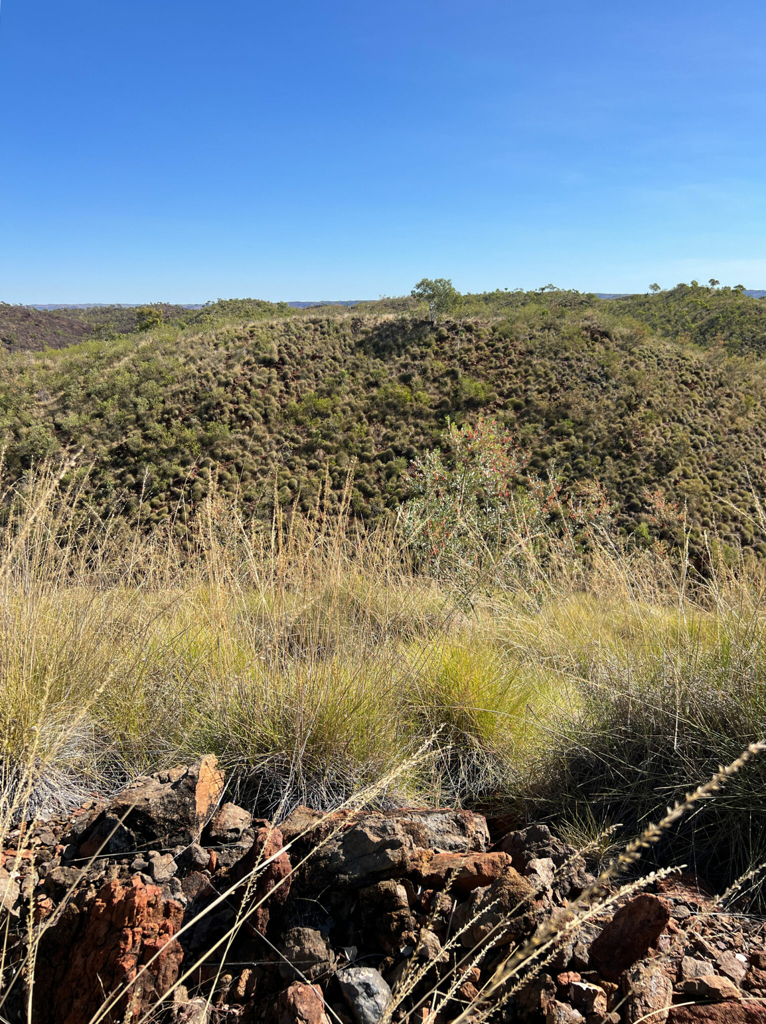 Alice Downs Corridor – Future Metals NL