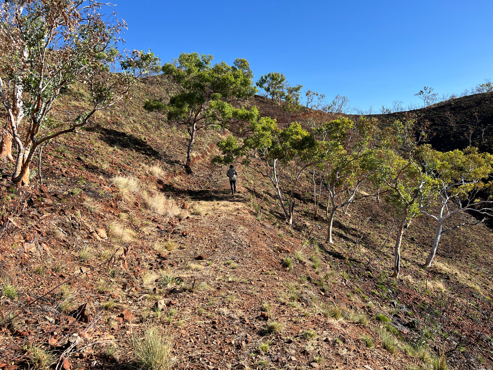 Alice Downs Corridor – Future Metals NL