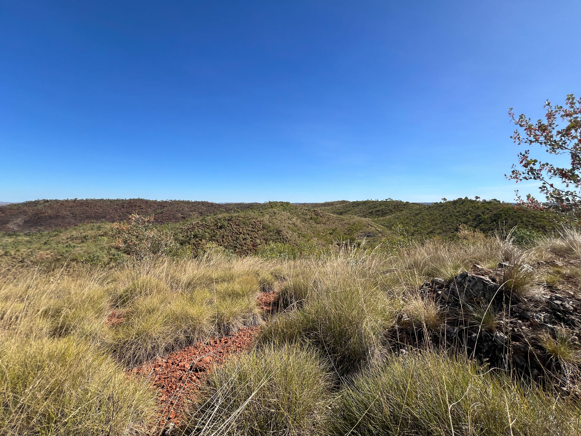 Alice Downs Corridor – Future Metals NL